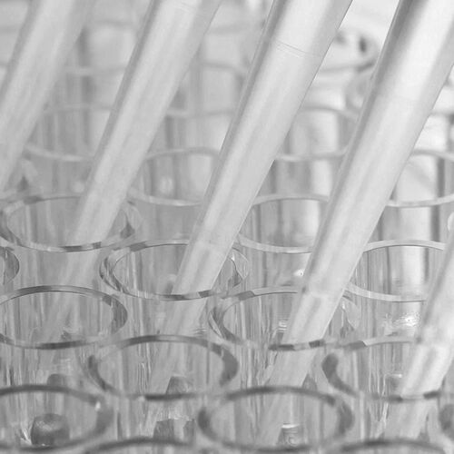 Analytical HPLC & UHPLC Columns | YMC